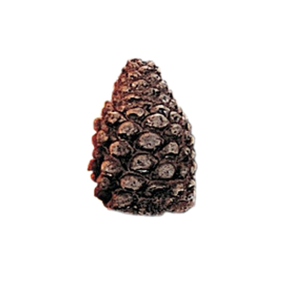 Refractory Ceramic Pine Cone Small - 3" | Woodland Direct