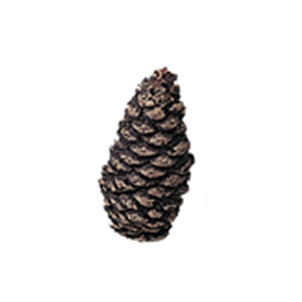 Refractory Ceramic Pine Cone Tiny - 2" Flat | Woodland Direct