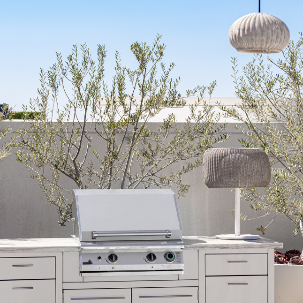PGS T-Series Stainless Steel Built-In Commercial Grill - 30" | Woodland ...